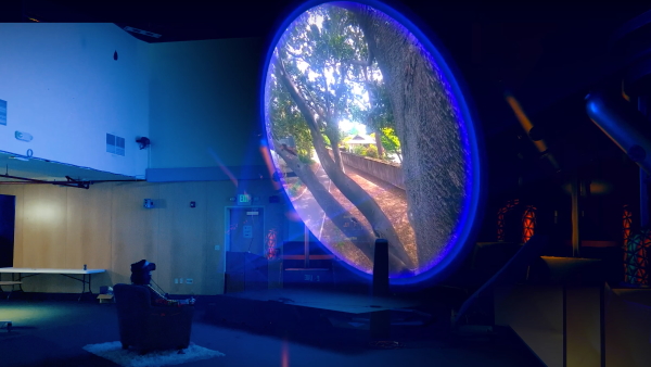 Dedicated artist-inventor wore a face camera for a year and built a VR ...