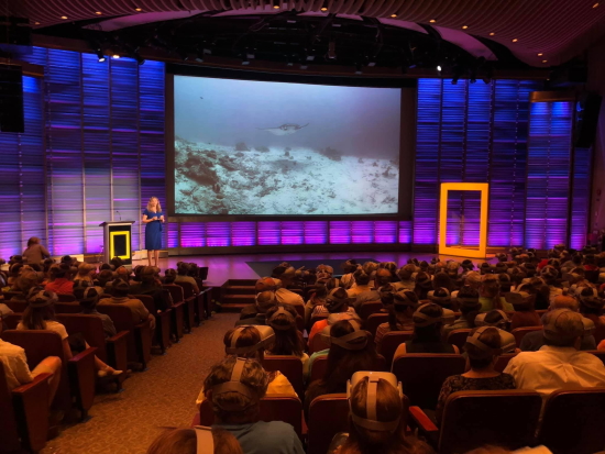 Marine biologist offers virtual deep dives, bringing us to the ocean ...