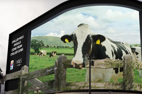 Real cows, not CGI’d versions, are stars of this 3D illusions billboard ...